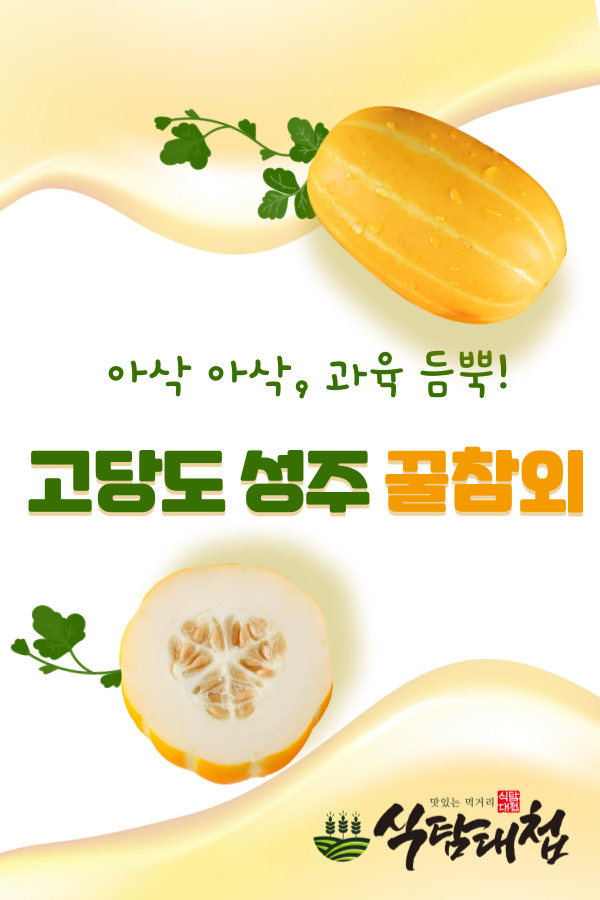 [11번가 LIVE11] 실시간 방송보기 - 가정용 성주참외 특가할인 이벤트